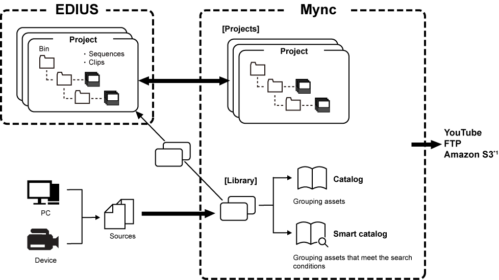 Structure of Mync