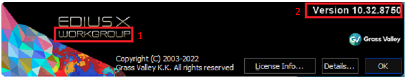 What EDIUS version am I using?