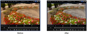 EDIUS 11 New Feature: Auto video color correction